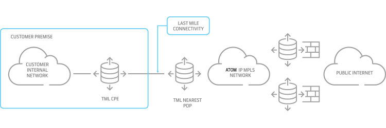 DEDICATED INTERNET ACCESS (DIA)