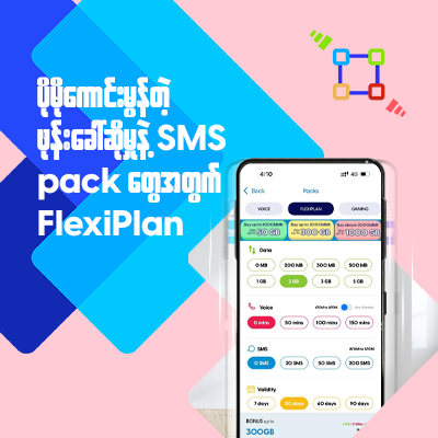 Flexiplan